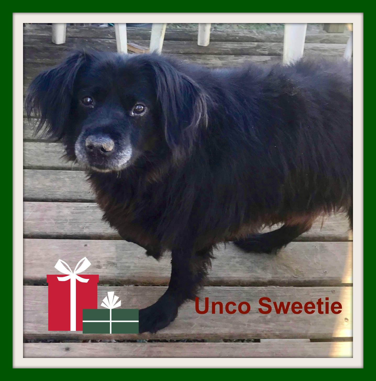 The Ninth Dog of Christmas is Unco Sweetie